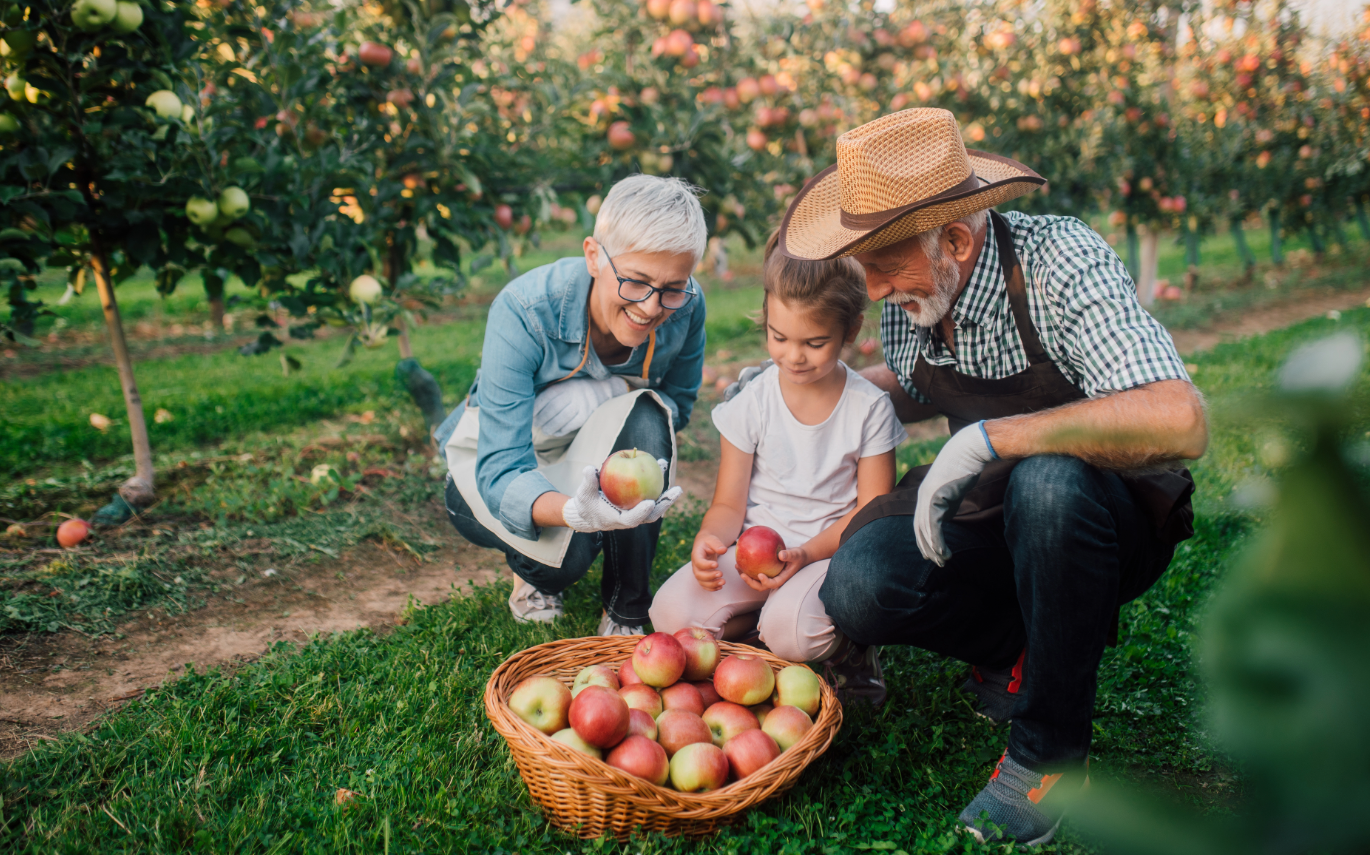 Apple Days 2025 | BlueCross BlueShield of Vermont